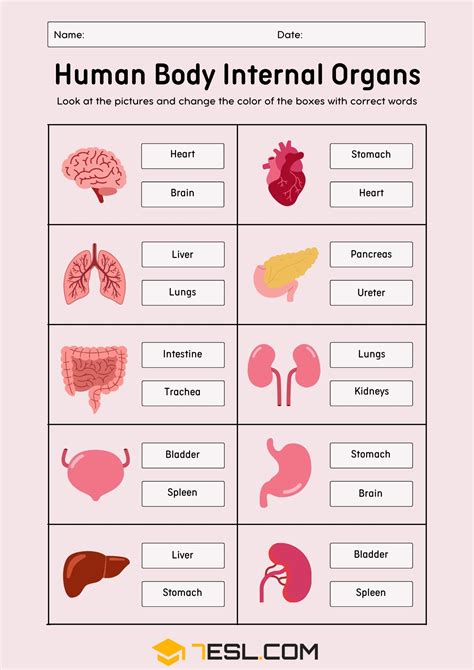 7esl Ai Learn English Phrasal Verbs Phrasal Verbs