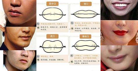 嘴巴看相图解 男人女人嘴巴嘴型看相图解