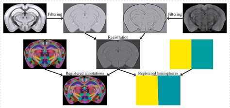Figure 1 From Mesoscale Microscopy And Image Analysis Tools For