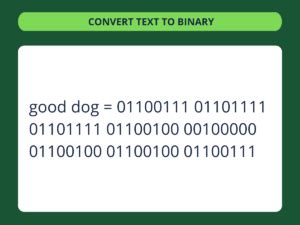 Text To Binary Code Converter ConvertBinary Com
