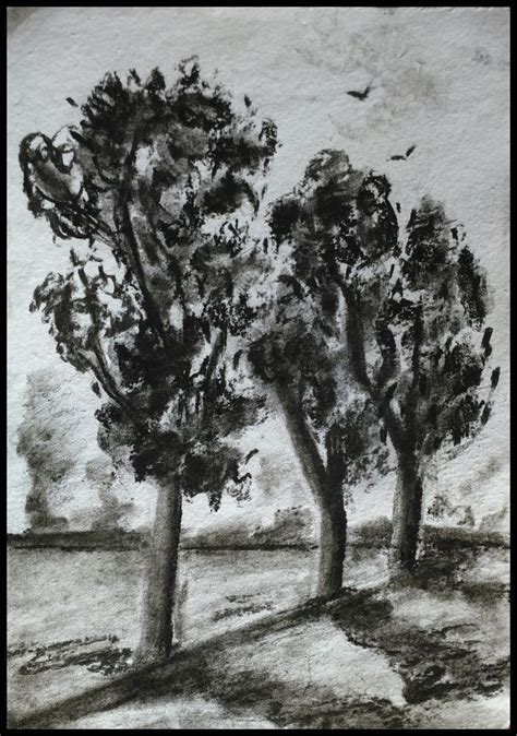 CharCoal Drawing CharCoalDrawing Trees Charcoal Art Charcoal Drawing Drawings