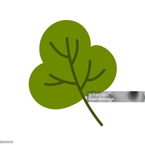 Illustration Of Leaf Type Eight High Res Vector Graphic Getty Images