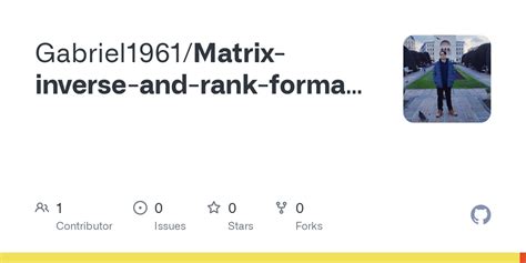 Github Gabriel1961 Matrix Inverse And Rank Formal Calculator