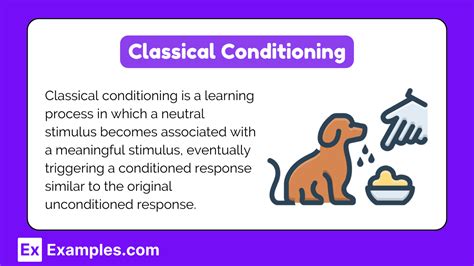 Unit 44 Types Of Conditioning And Their Effects Notes And Practice