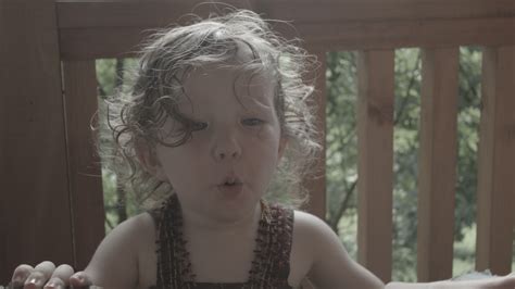 Tamarack Log And Timber Homes Treehouses