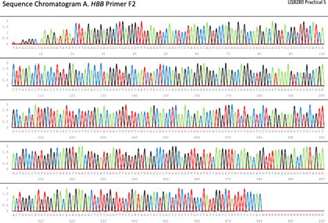 Sequence Chromatogram A Hbb Primer F2 Lqb280