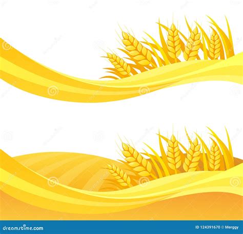 Wheat Design On A White Background Stock Vector Illustration Of Banner Plant 124391670