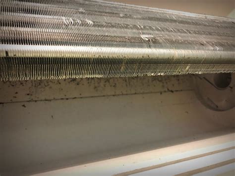 분해세척 안한 에어컨은 곰팡이 덩어리 군포벽걸이에어컨청소 주니아빠 네이버 블로그