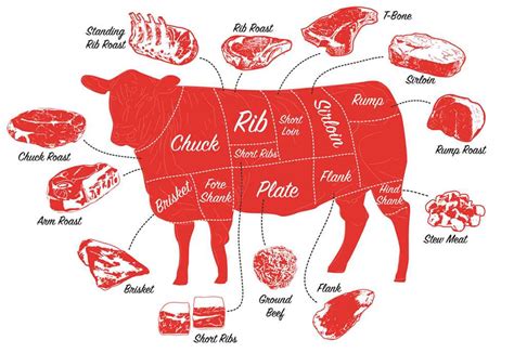 The Ultimate Guide To Understanding Cow Meat Parts A Diagram Walkthrough