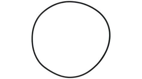 Polaris Seal Plate O Ring Quiet Pump P185 Epoolsupply