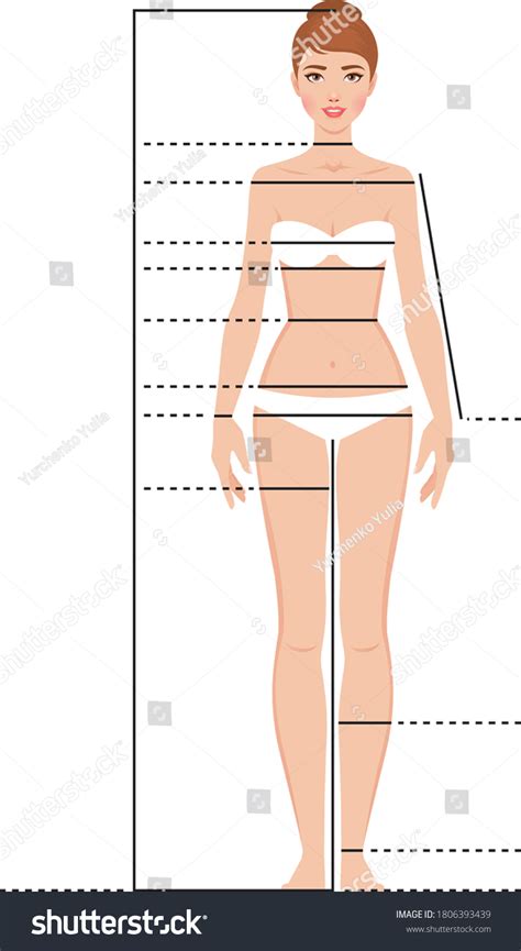 Vektor Stok Diagrams Female Body Measurements Full Length Tanpa Royalti 1806393439 Shutterstock