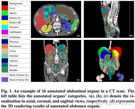 医学图像数据集 知乎