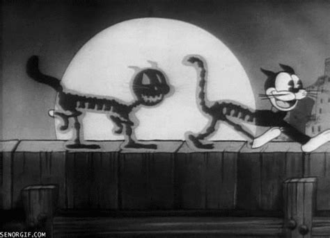 Funny Cat  Cartoon Cat Chasing Another Cat Space Ghost