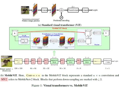 mobilevit 一种更小，更快，高精度的轻量级transformer端侧网络架构 智源社区