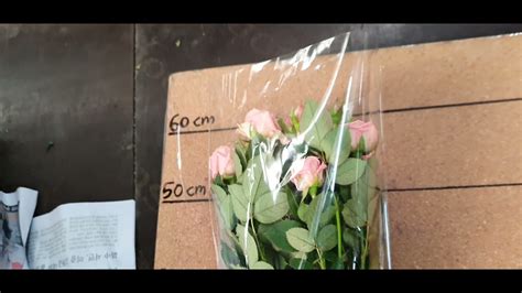 햇살장미 생화 인터넷꽃도매시장 생화택배 생화도매 인터넷꽃시장 인터넷꽃도매 장미대량구매 꽃 꽃다발 꽃도매 꽃시장 부산꽃시장 김해꽃시장 꽃쇼핑몰 김해꽃 부산꽃 꽃싸게사는법