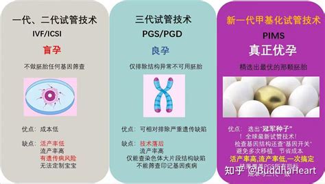 试管颠覆性创新：胚胎植入前甲基化筛查 知乎