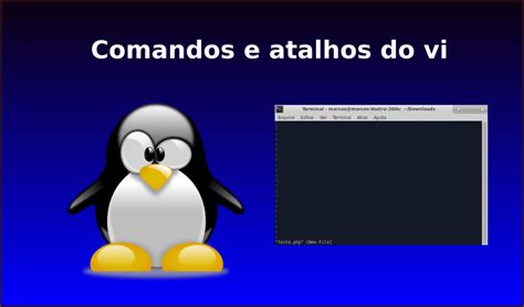 Principais Comandos Do Editor Vi