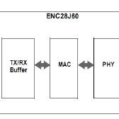 Ethernet Chip And MCU Interconnection Download Scientific Diagram