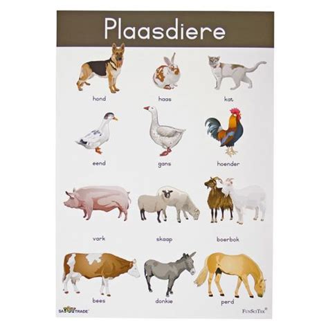 Poster Plaasdiere A2 Diere Plakkaat Afr Satoytrade