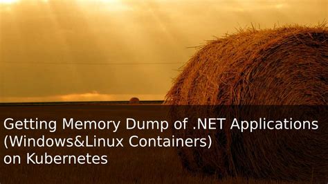 Getting Memory Dump Of Net Applications Windowsandlinux Containers On Kubernetes Gökhan Gökalp