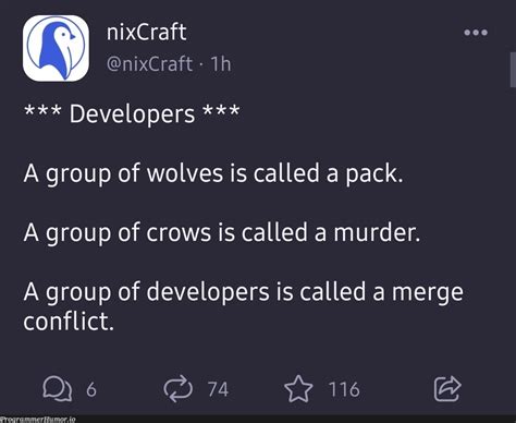 What The Git ProgrammerHumor Io
