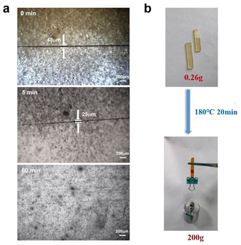 Bio Based Epoxy Vitrimers With Excellent Properties Of Self Healing Recyclability And Welding