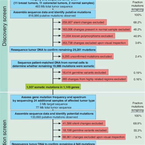 Schematic Of Mutation Discovery And Validation Screens Download Scientific Diagram