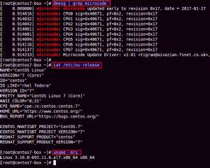 How To Install Update Intel Microcode Firmware On Linux NixCraft