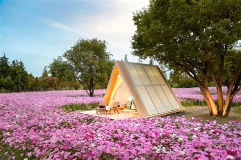 가든스테이 쉴랑게 특별한 하룻밤 숙박 예약 시작 2023순천만국제정원박람회 기간 운영 네이버 블로그