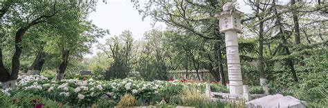 邵元龙 北京大学材料科学与工程学院