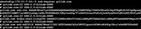 Setup Gitlab Cicd Reactjs App Lên Aws Ec2 Ai Design Thiết Kế Web