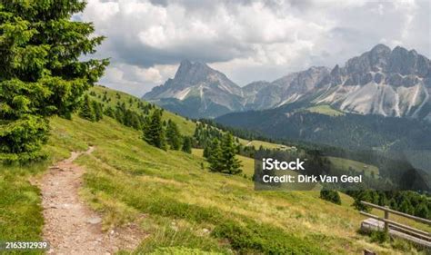 이탈리아 돌로미티의 산악 하이킹 트레일 소나무가 있는 풀이 무성한 경사면 배경에 산맥 배경에 Peitlerkofel 산 화창한 여름날 알프스 풍경 건강한 0명에 대한 스톡