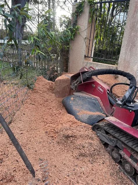 Stump Grinding Tree Service Stump Removal
