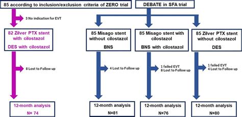 Study Flowchart Abbreviations BNS Bare Nitinol Stent DES Download Scientific Diagram