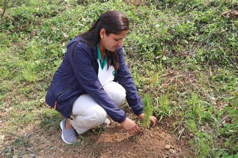 विश्व वातावरण दिवसको अवसरमा रेसुङ्गा वालउद्यान वृक्षारोपण Gulminews