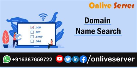 Get A Professional Domain Name Search By Onlive Server Name Search Server Domain