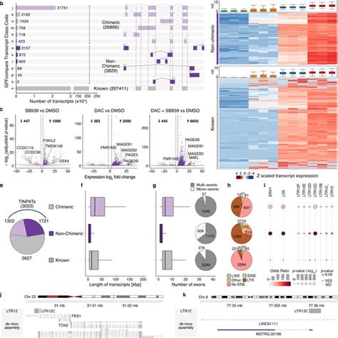 De Novo Transcriptome Assembly Identifies Treatment Induced Novel Download Scientific Diagram