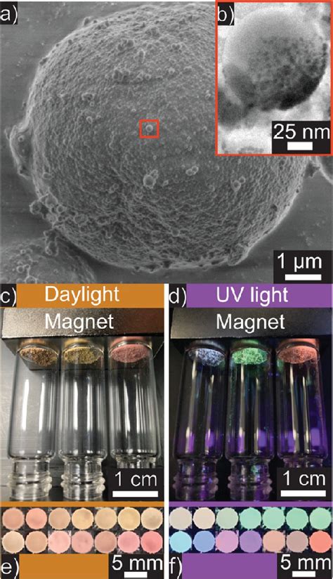 A Sem Image Of The Magnetic Fluorescent Ps Supraparticles With B A Download Scientific
