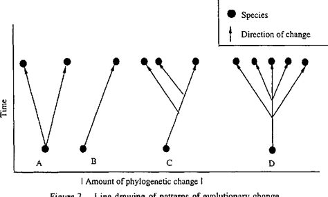 Figure From Patterns Of Conceptual Change In Evolution Semantic Scholar