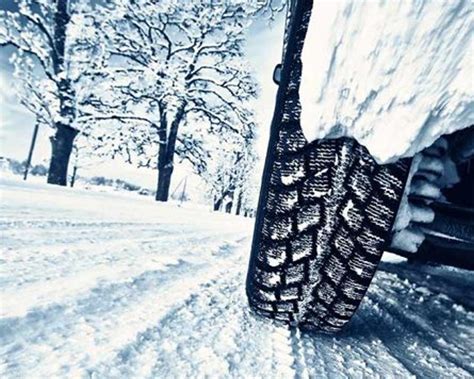 Snow Hacking Rnatureporn