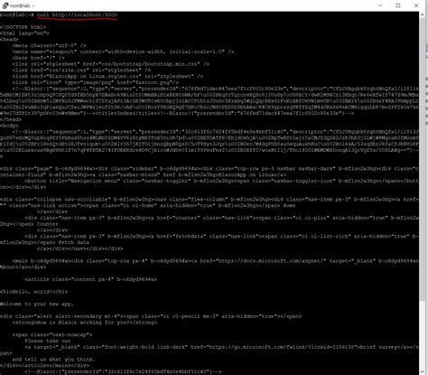 Running Blazor Server Web App On Linux And Apache Running Blazor Server Web App On Linux And Apache