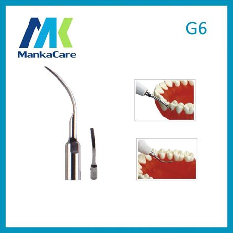 G6 Ems 딱따구리 스케일링 팁 치과 팁 치과기구 치과 장비 구강 위생 치과 제품 5 개hygiene Productsequipment Dentaltips