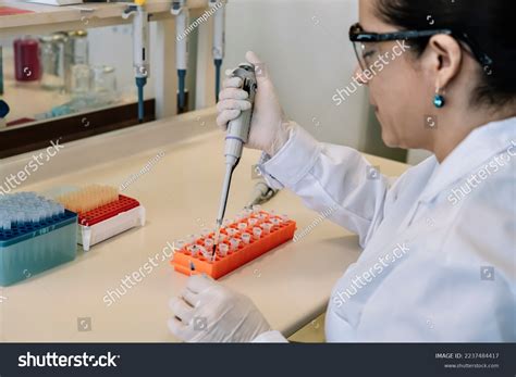Woman Scientist Pipetting Sample Into Vial Stock Photo Shutterstock
