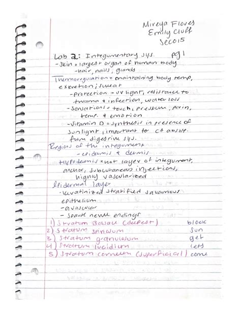 Integumentary System Intro BIO L Studocu