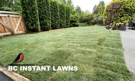 Efficient Sod Delivery Program Order Early To Save Bc Instant Lawns