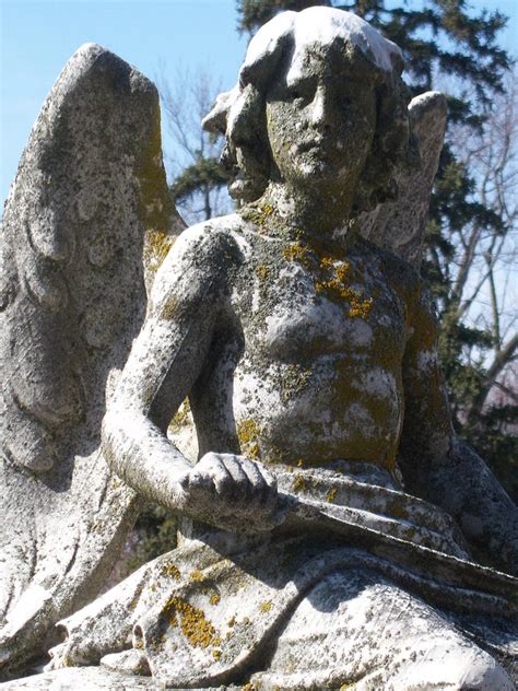 Michael Photograph By Cindy Fleener Fine Art America