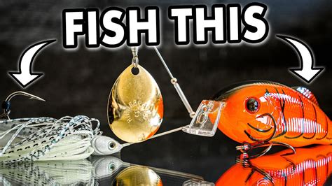 These Lures Catch Fish Right Now Dont Miss Out Pre Spawn Bass