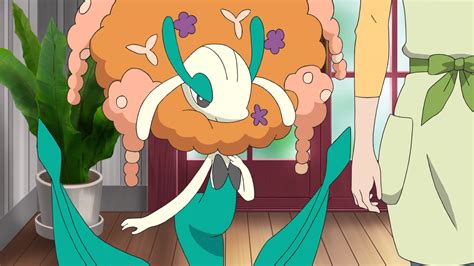 File Orange Flower Florges Anime Png Bulbagarden Archives
