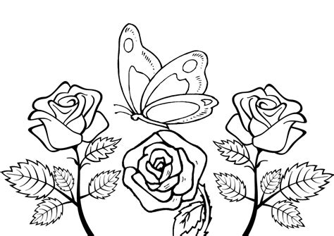 Fiori Da Colorare Disegni Da Stampare A Tema Fiori Per Grandi E Piccini